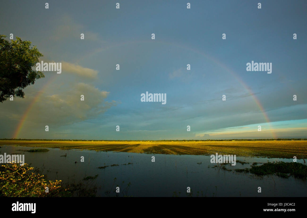 Hakaluki haor hi-res stock photography and images - Alamy