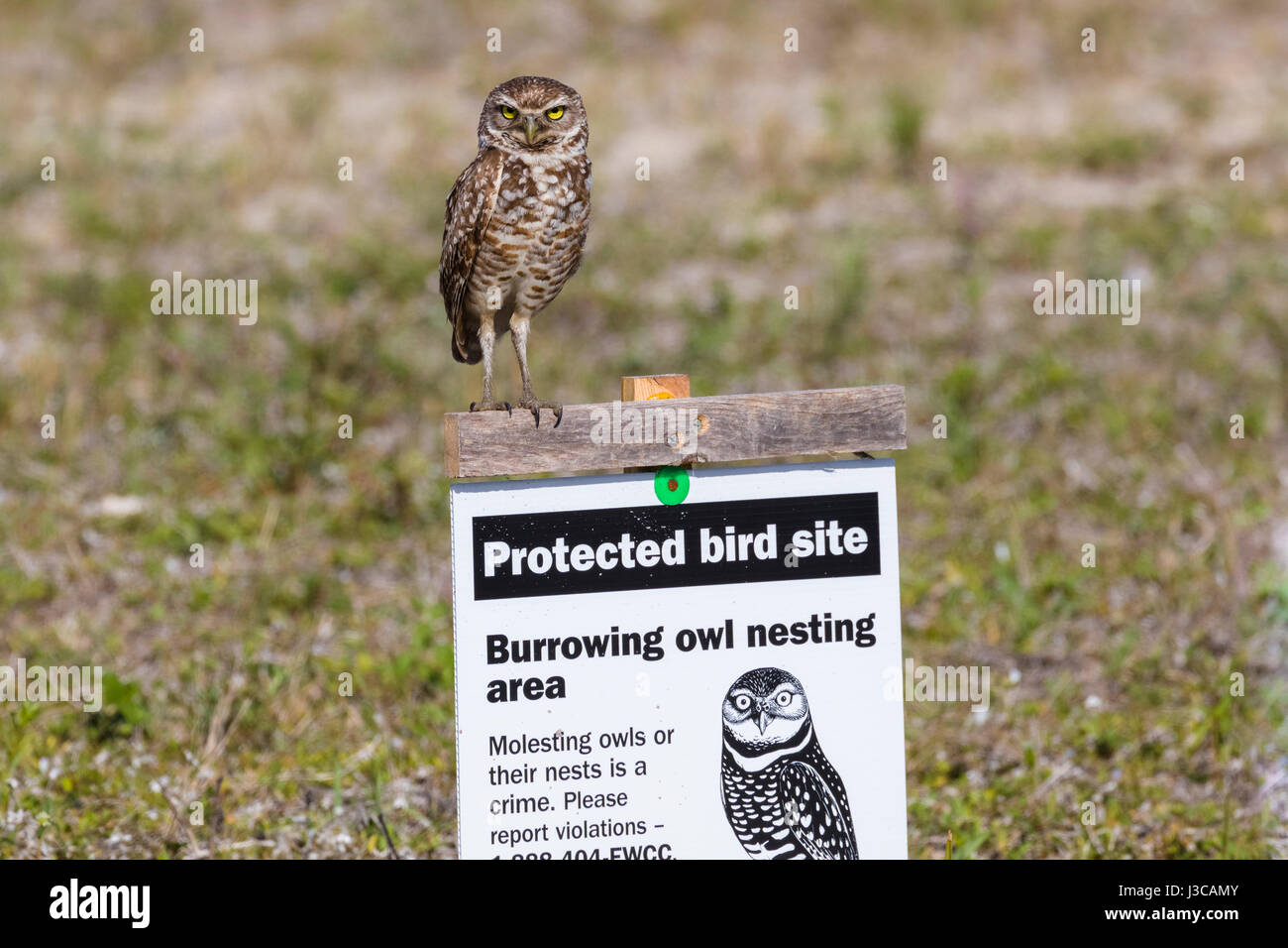 Small warning sign hi-res stock photography and images - Alamy