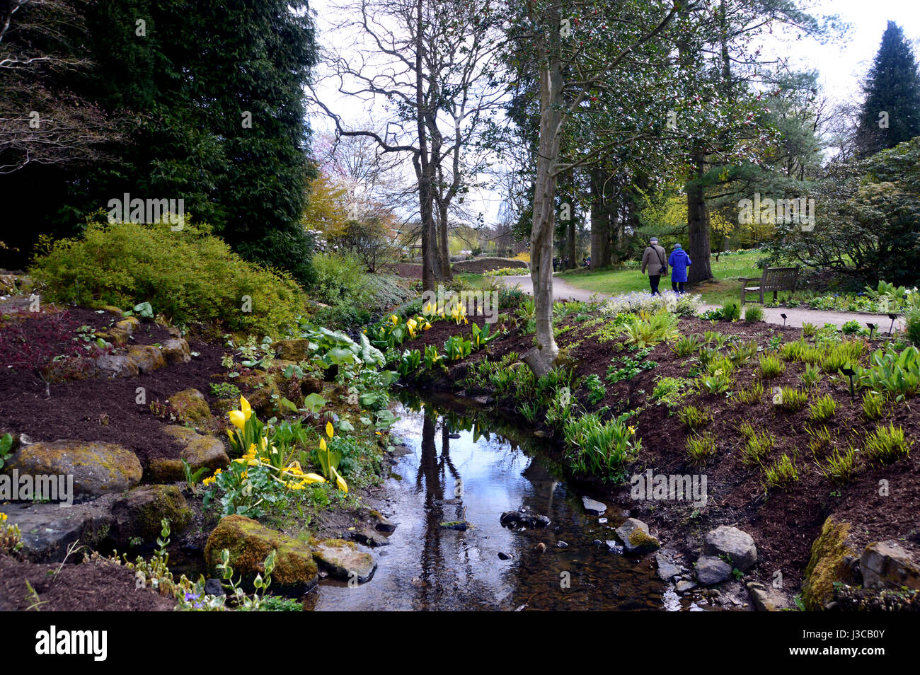 Elderly Couple Walking at the side of a Stream in Stringtime at RHS ...