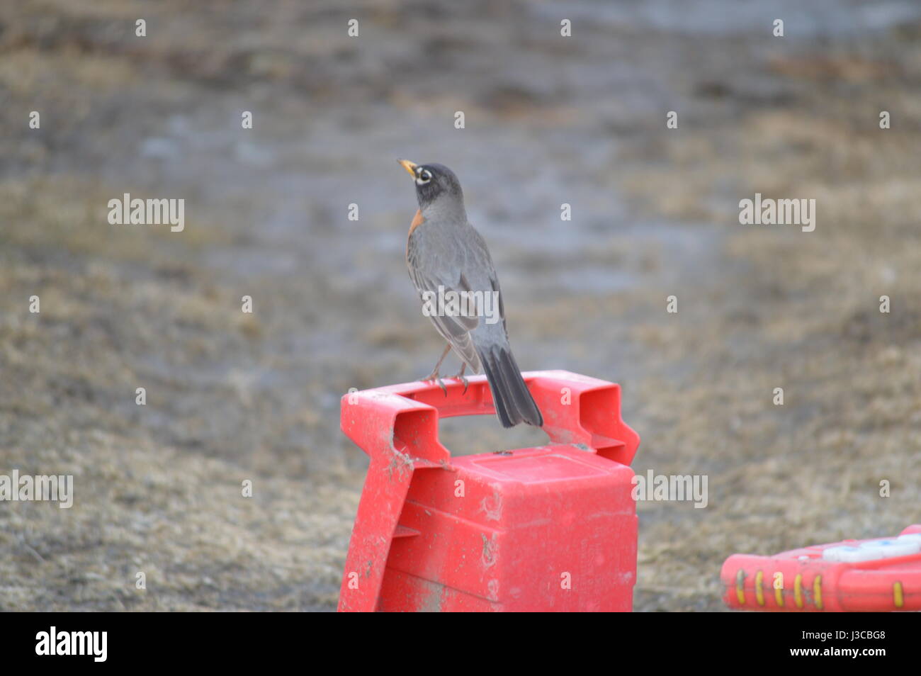 Shadow searching hi-res stock photography and images - Alamy
