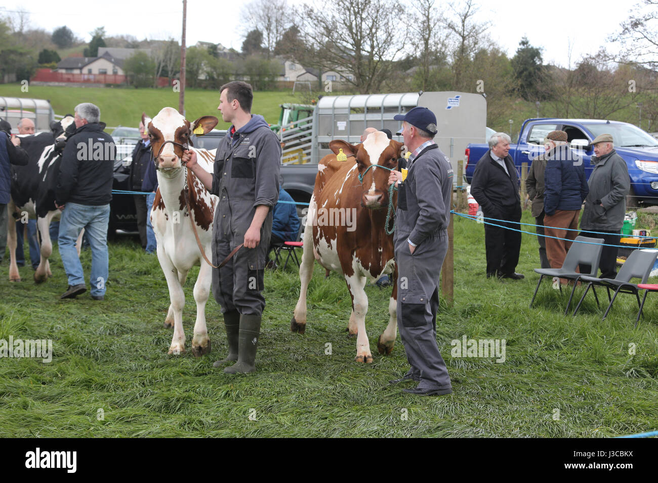 Scottish dairy farmers hi-res stock photography and images - Alamy