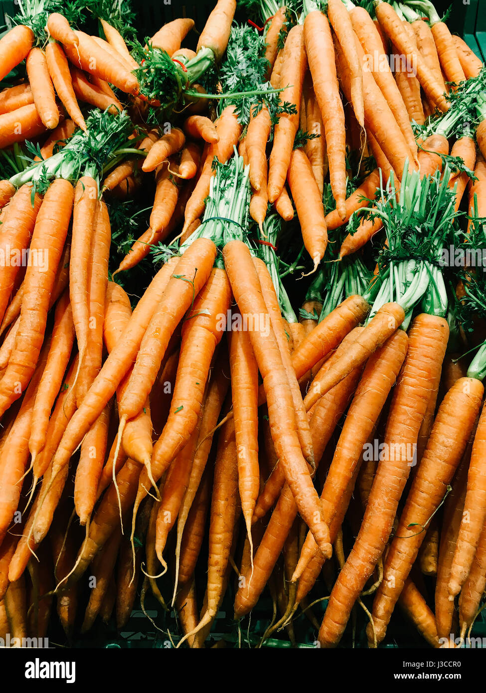 Beautiful bunch of fresh carrots hi-res stock photography and images ...