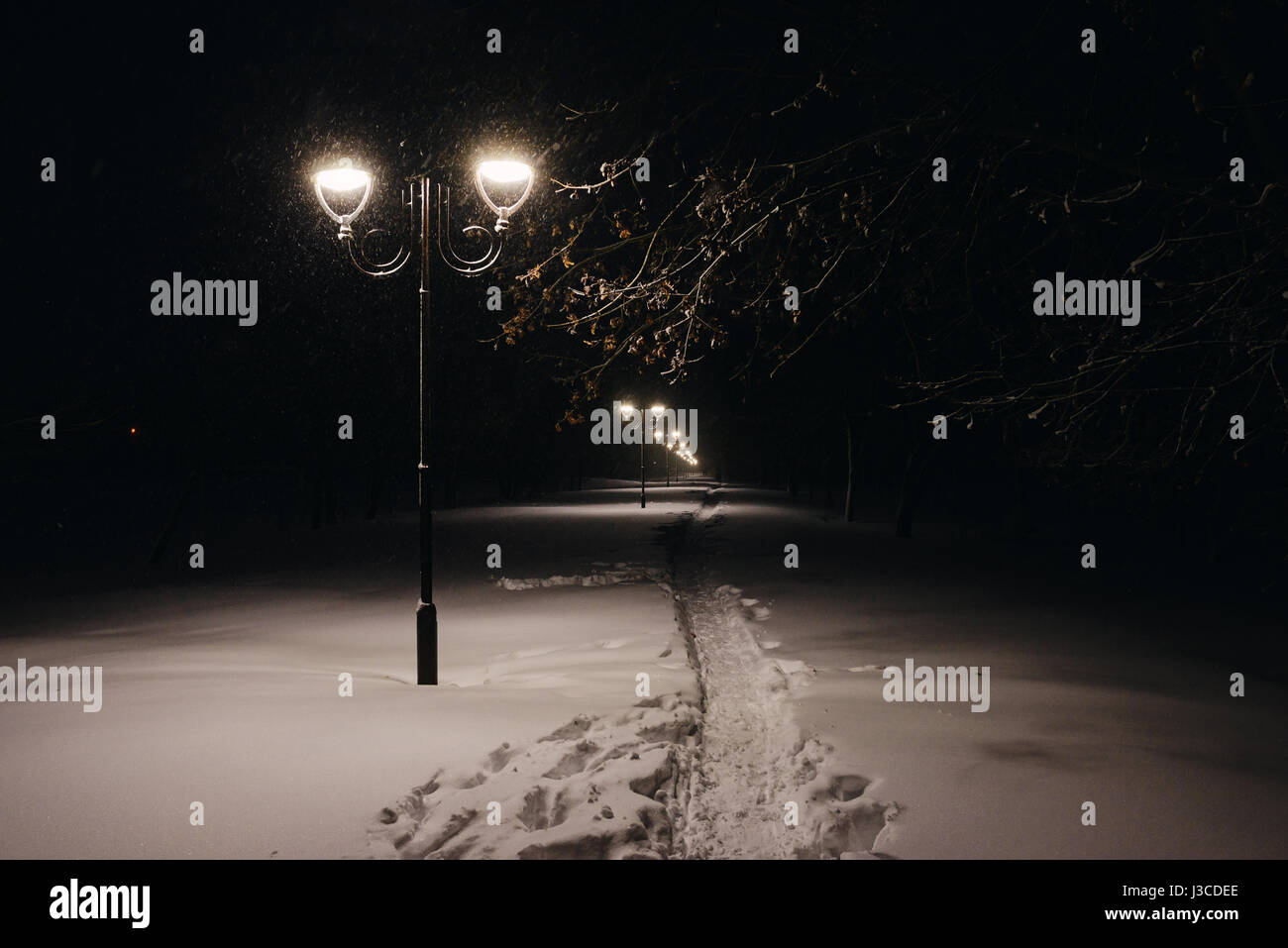 Winter alley in park and shining lanterns Stock Photo - Alamy