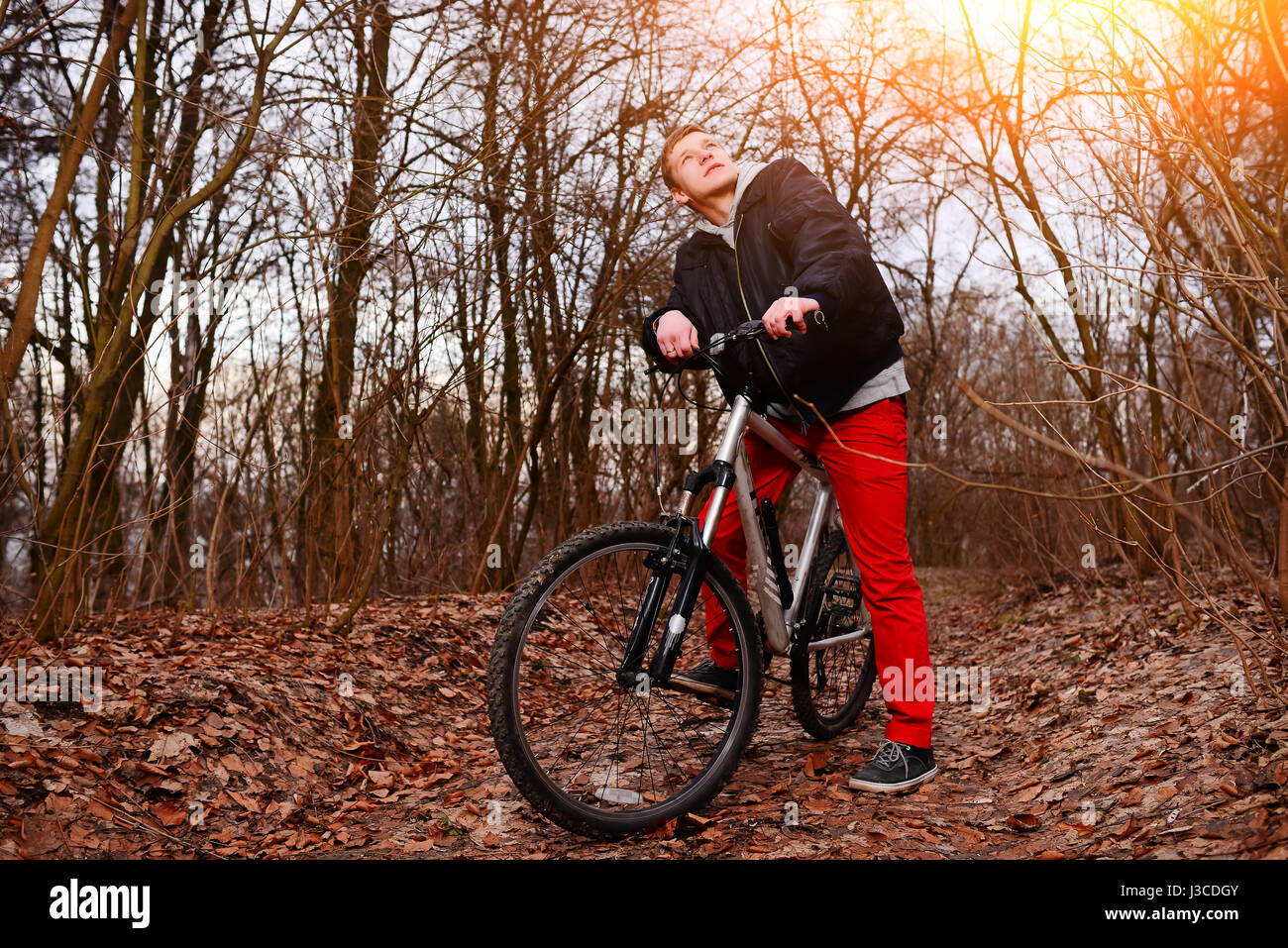 Cyclist Riding the Bike on the Trail in the Beautiful Spring Forest ...