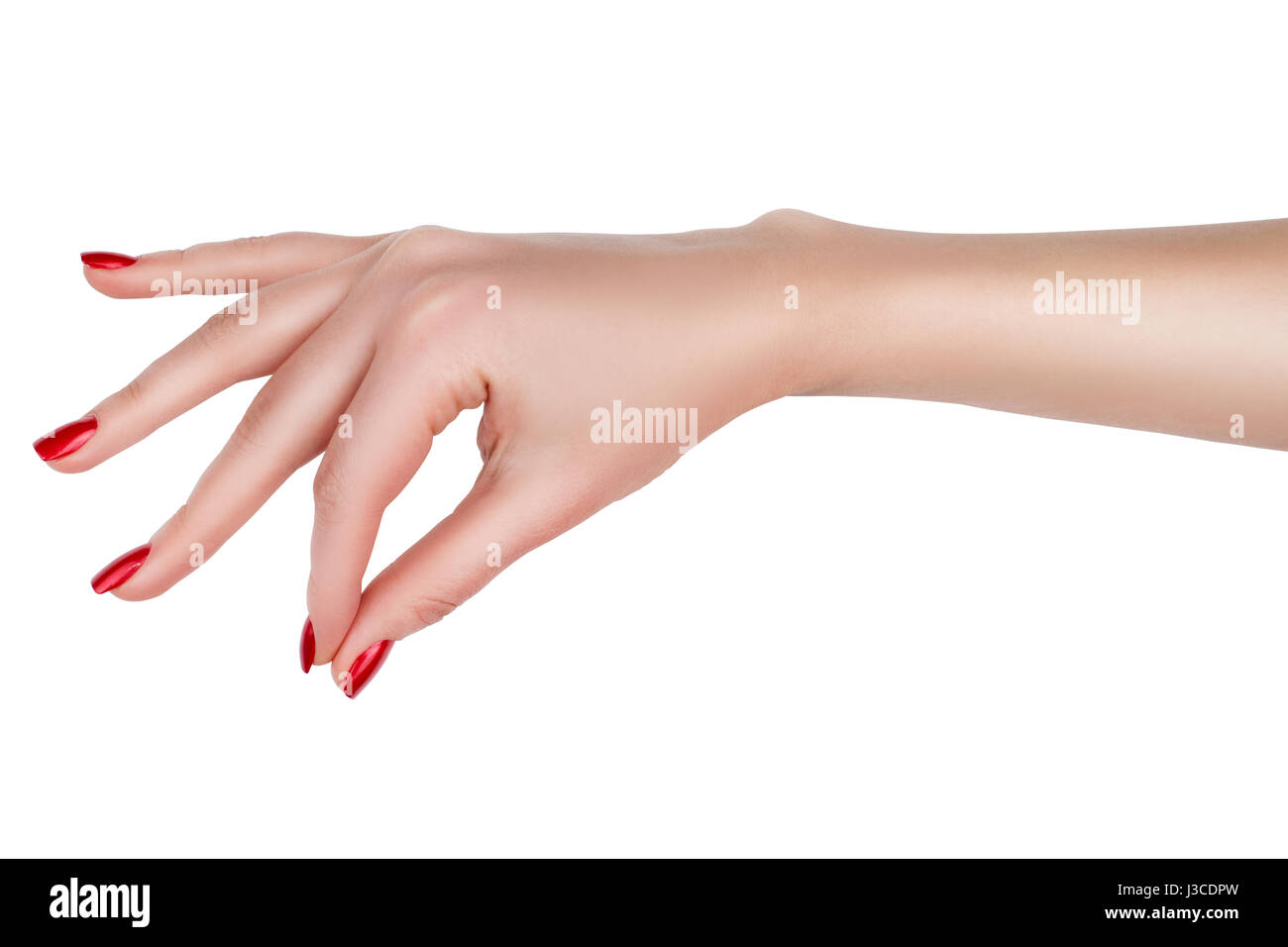Female hand clasped fingers bud that holds, on a white background Stock ...