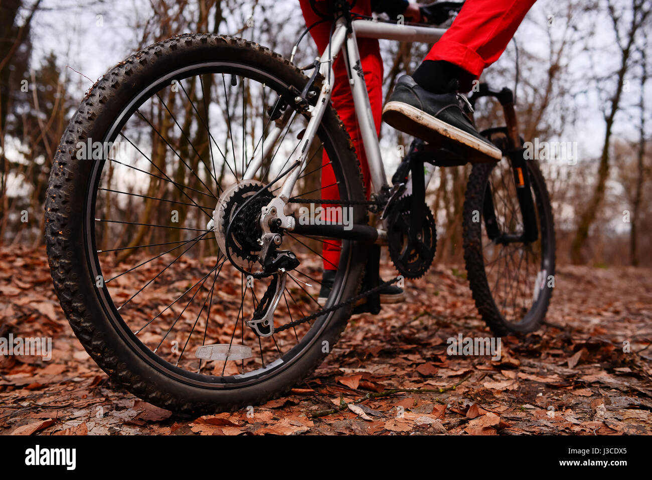 low angle view of cyclist riding mountain bike on rocky trail at ...