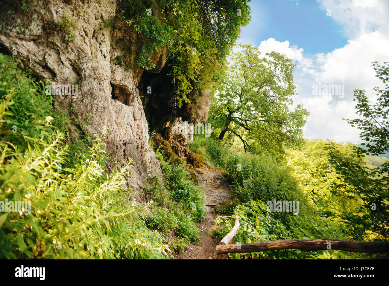 Beautiful landscape with small waterfalls in dense forest Stock Photo ...