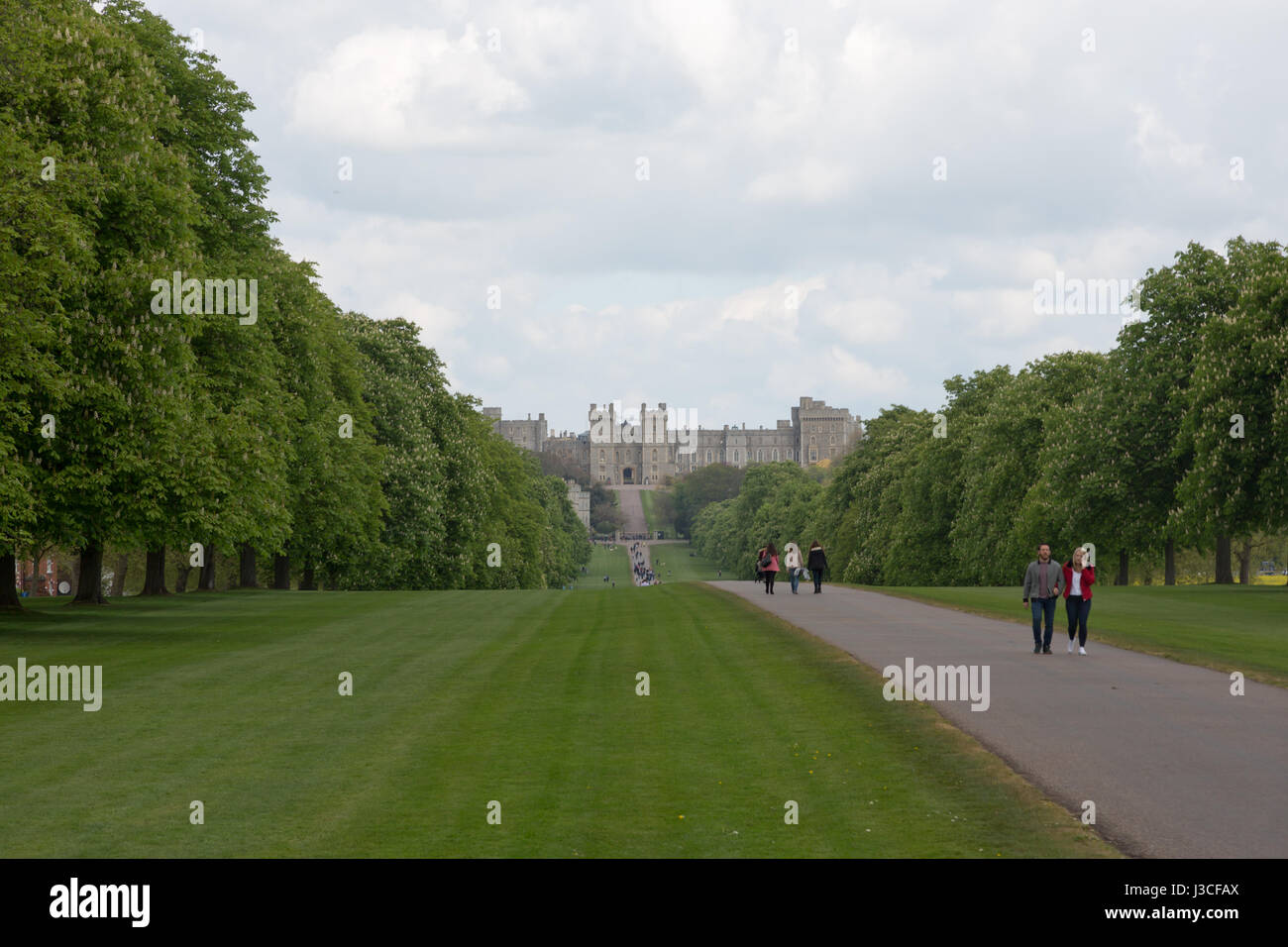 The long walk looking back at Windsor Castle Stock Photo - Alamy
