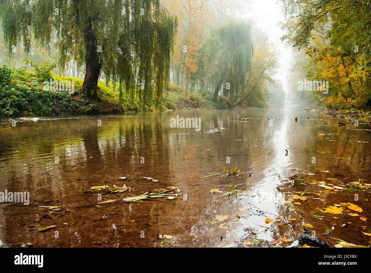 Fog over river in forest in the autumn Stock Photo - Alamy