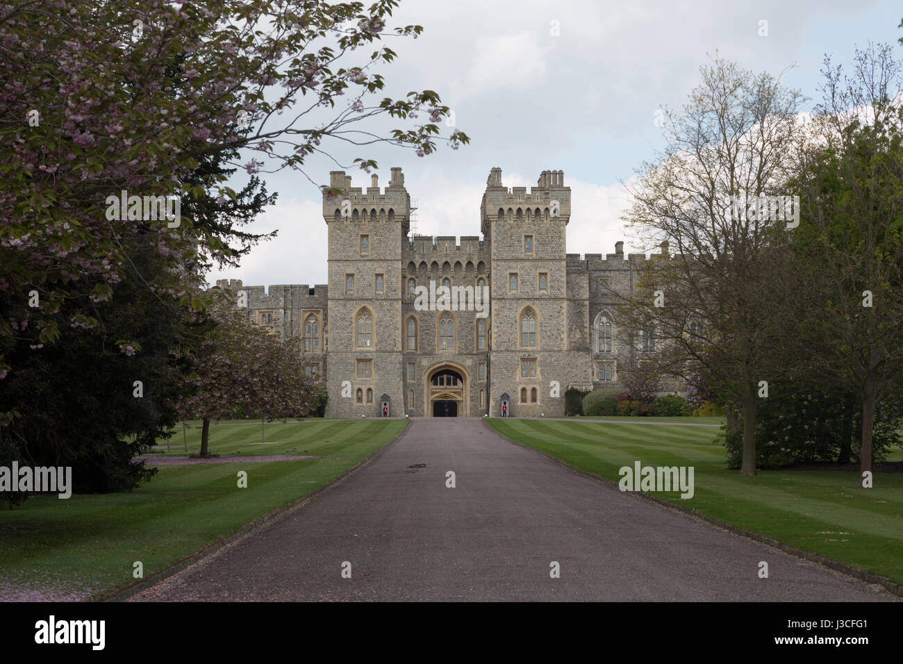 Windsor Castle shot from the long walk Stock Photo - Alamy