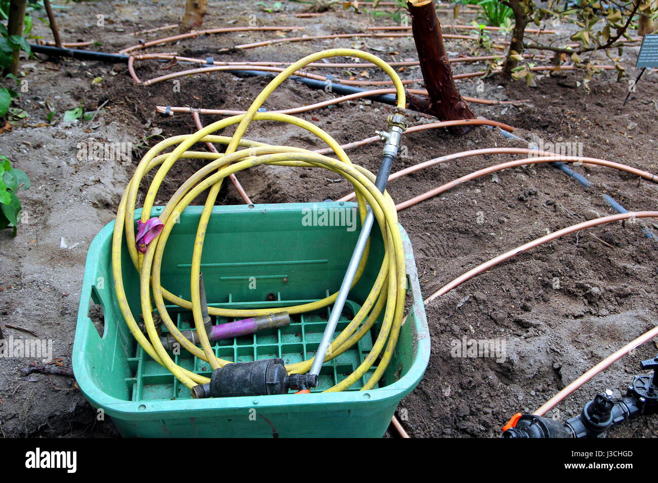 Garden hose and horticultural irrigation pipes on soil Stock Photo - Alamy