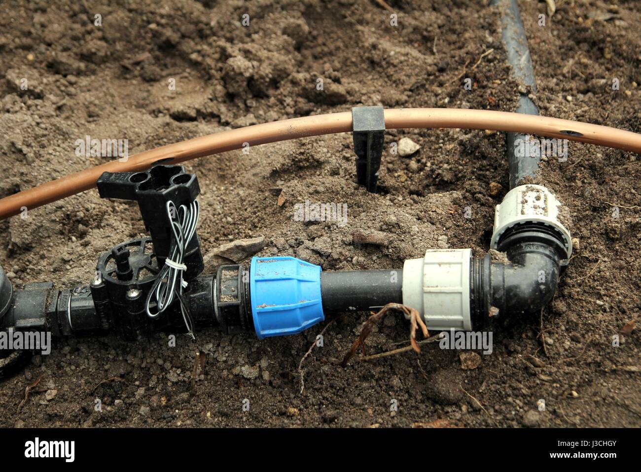 Horticultural irrigation pipes on garden soil Stock Photo - Alamy