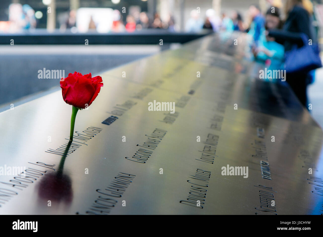 A red rose is placed at 9/11 Memorial in New York City. The memorial ...