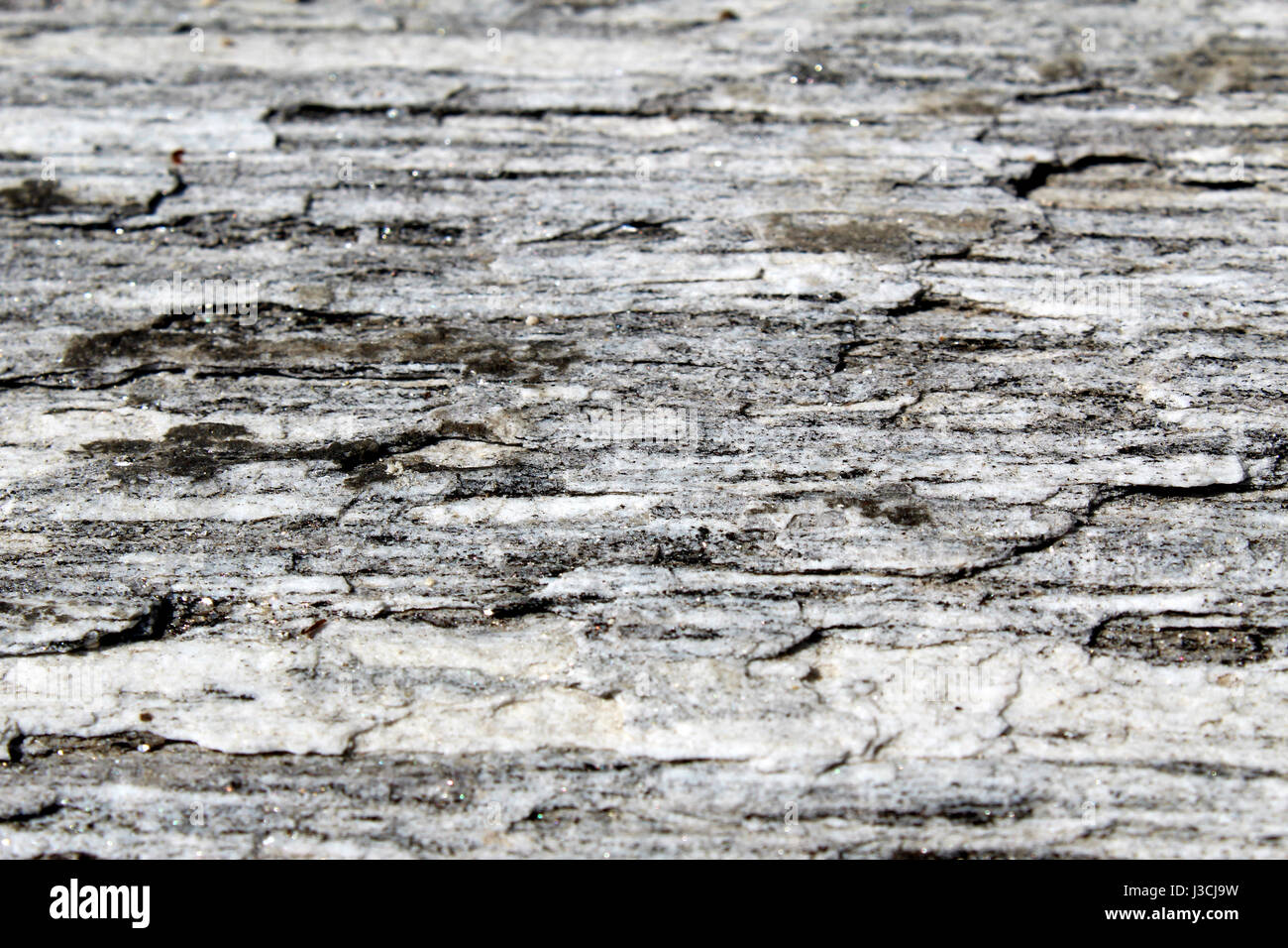 Metamorphic gneiss rock texture hi-res stock photography and images - Alamy