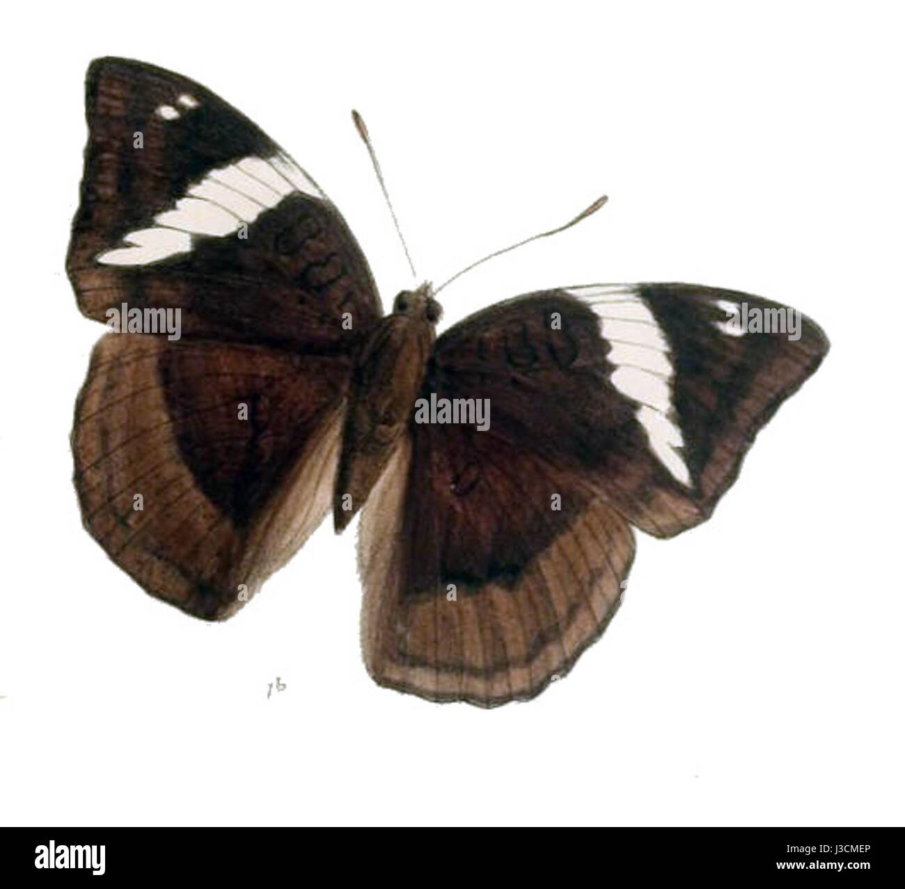 Offering behavior Cut Out Stock Images & Pictures - Alamy