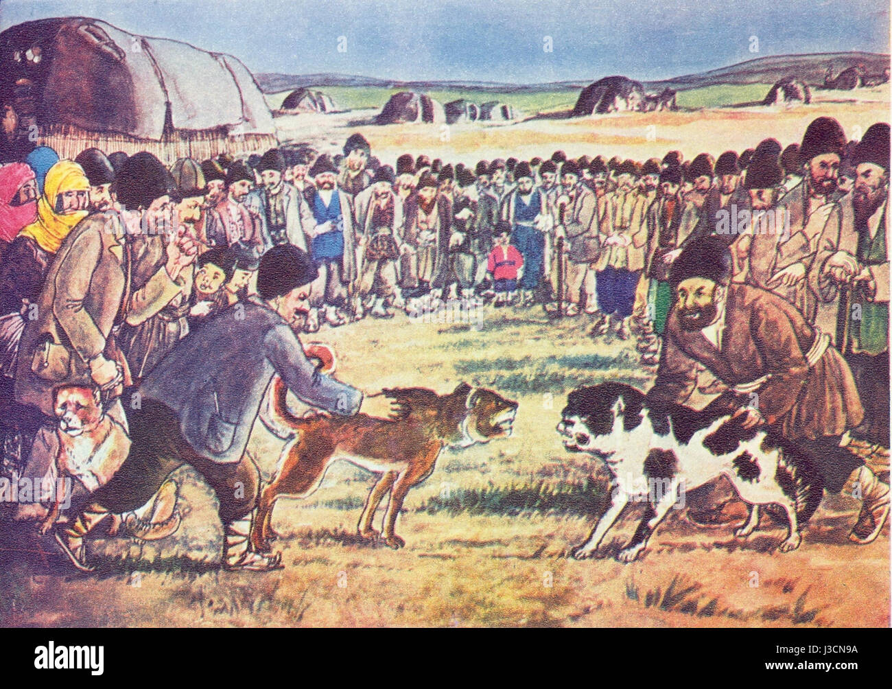 Baiting dog hi-res stock photography and images - Alamy