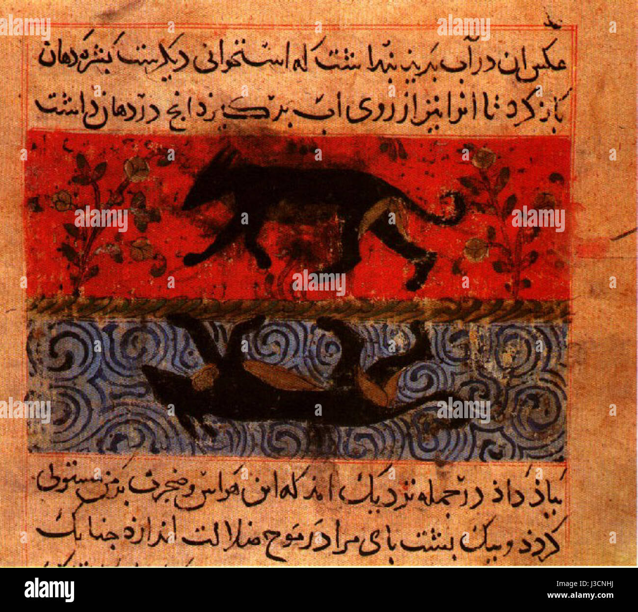 A photograph showing a dog standing near a reflective surface ...