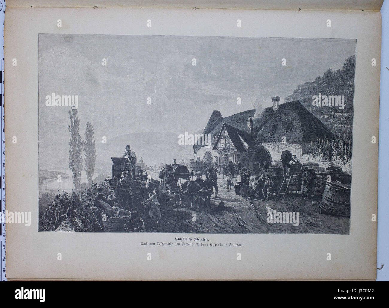 This engraving from the 1884 edition of 'Die Gartenlaube' magazine ...