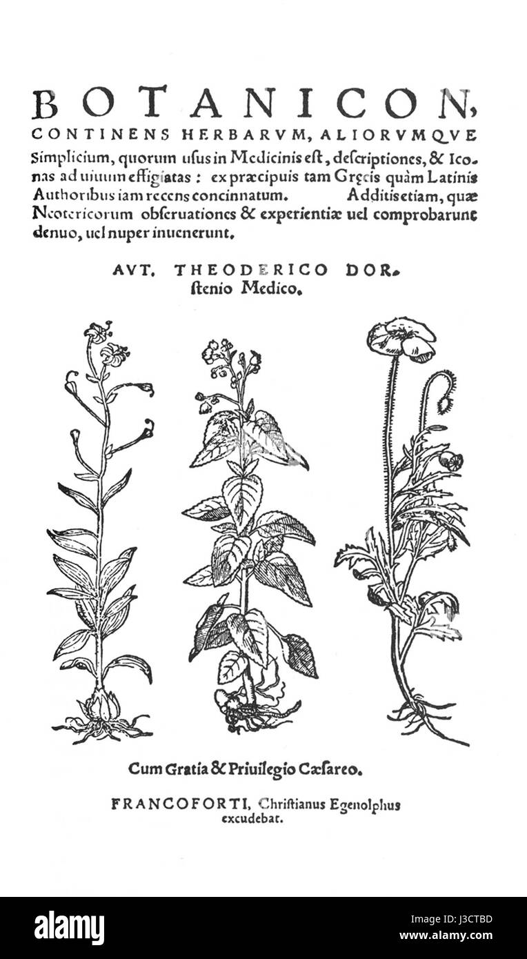 Botanical period Black and White Stock Photos & Images - Alamy