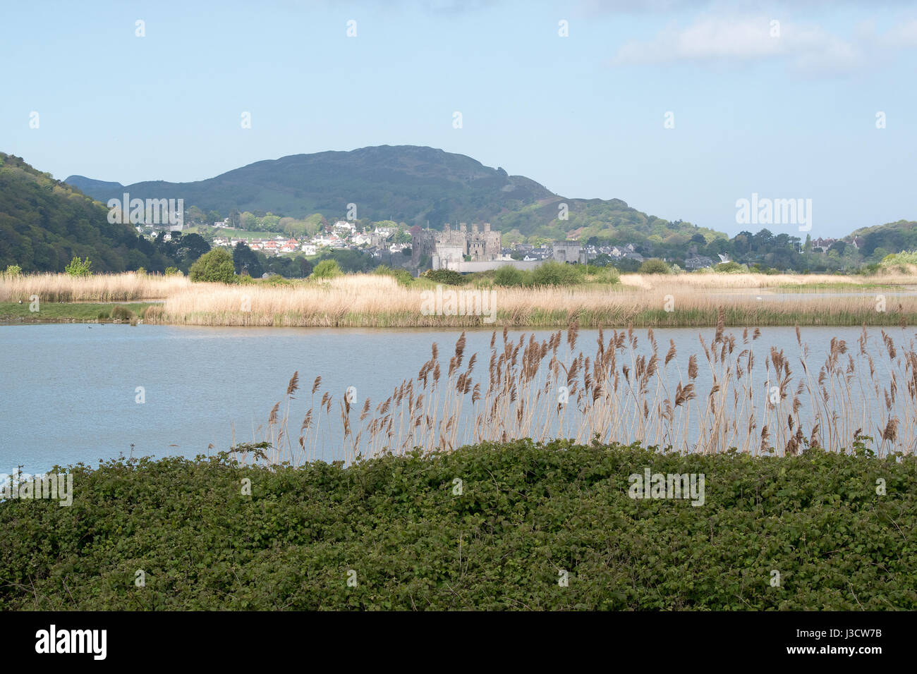 RSPB Wildlife reserve lagoon Stock Photo - Alamy
