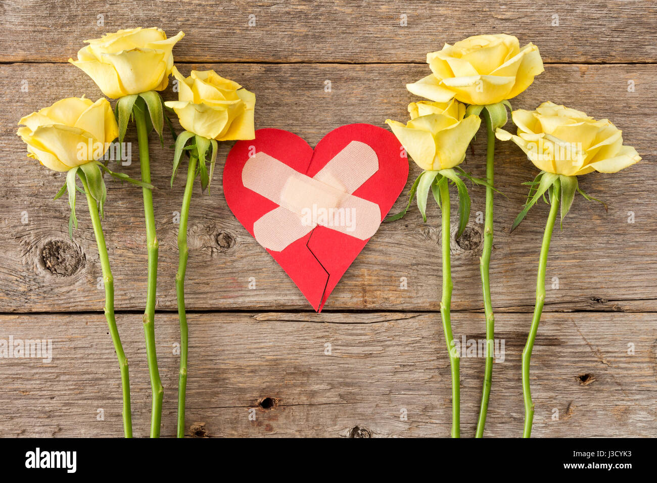 Human feeling repairing concept - red broken heart with yellow roses on ...