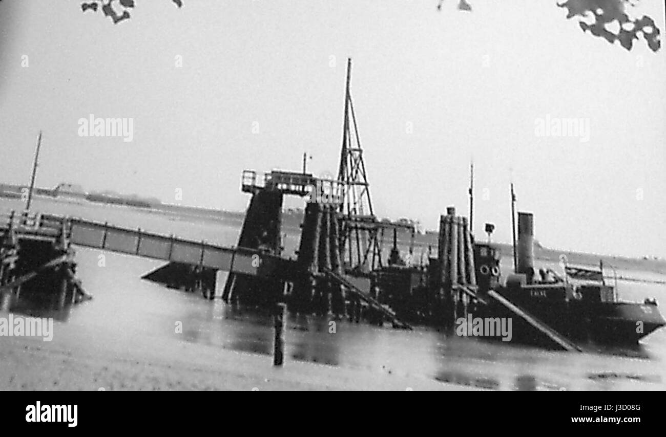 Heide holstein Black and White Stock Photos & Images - Alamy