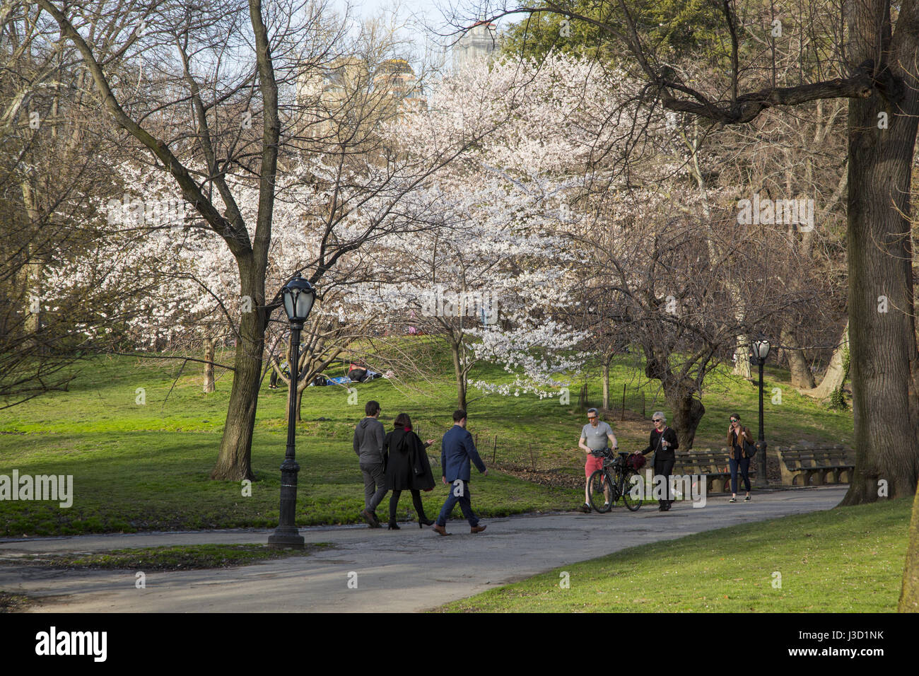 People relax on a spring day and stroll in Central Park, Manhattan, New ...