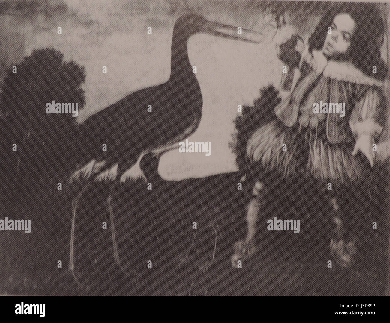 Dwarf and bird Stock Photo - Alamy