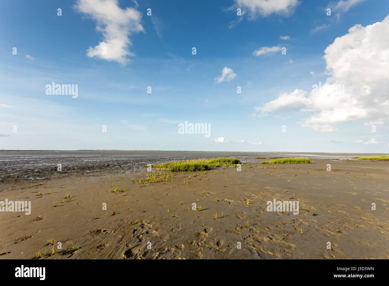 World heritage mud flats hi-res stock photography and images - Alamy