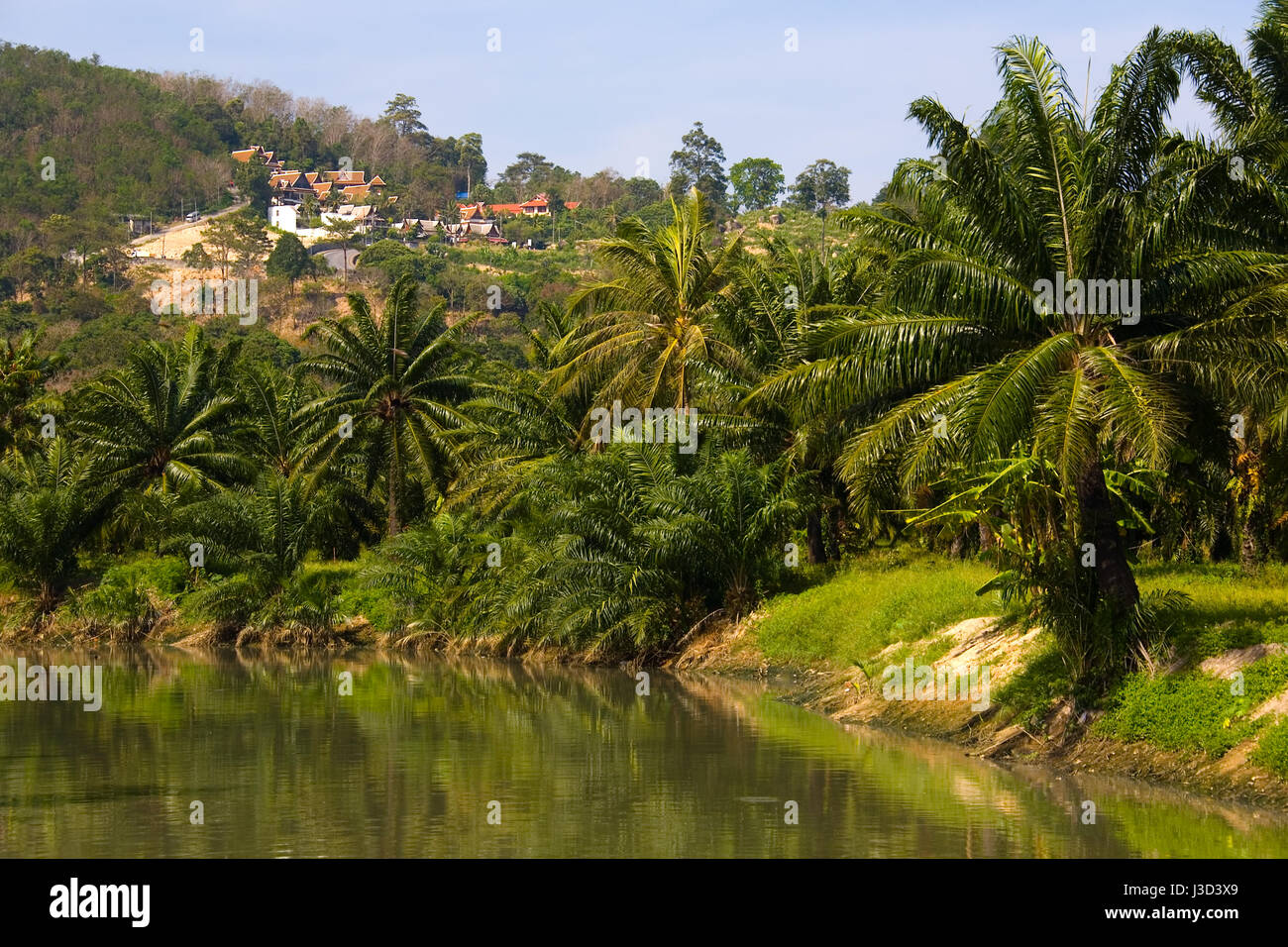 A picturesque Thai landscape with palm trees and a village in the ...
