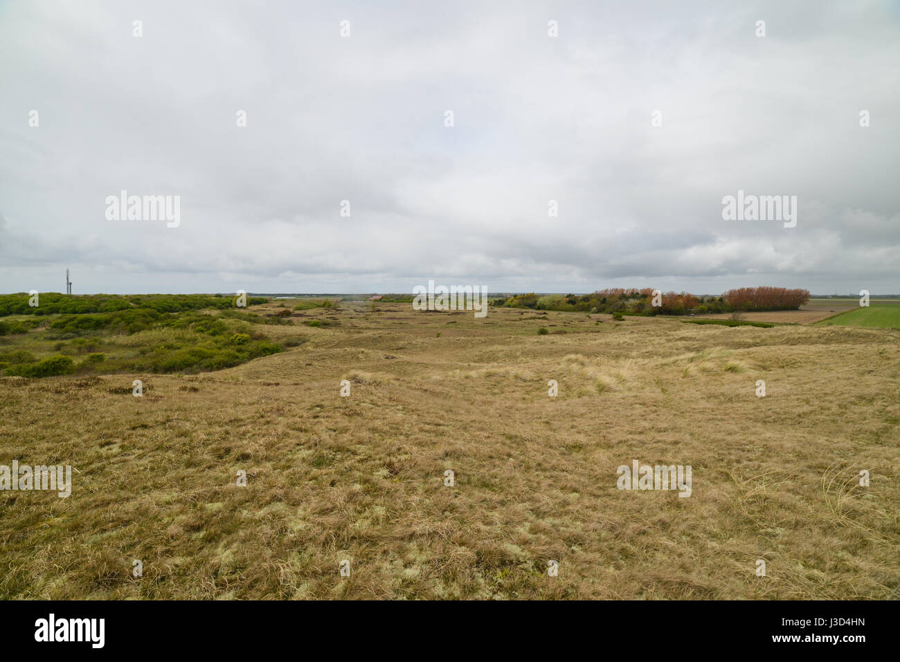 Texel Island, Holland, landscape Stock Photo - Alamy