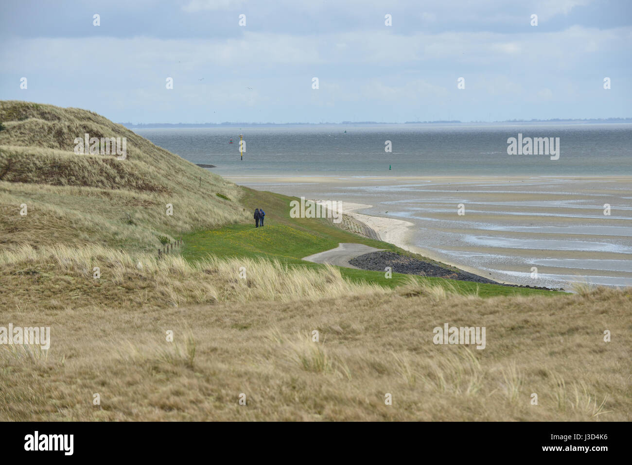Texel Island, Holland, landscape Stock Photo - Alamy