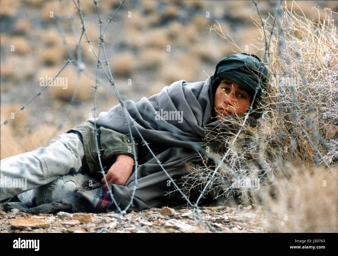 Delbaran Year: 2001 - Iran / Japan Kareem Alizadeh Director: Abolfazl ...