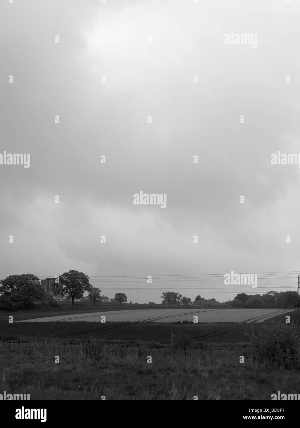 black and white field of crop in country landscape Stock Photo - Alamy