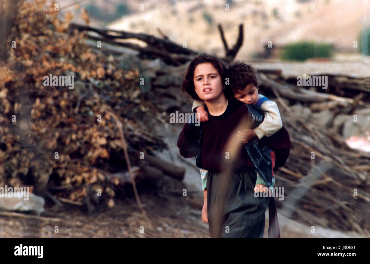 Avaz latif turtles can fly hi-res stock photography and images - Alamy