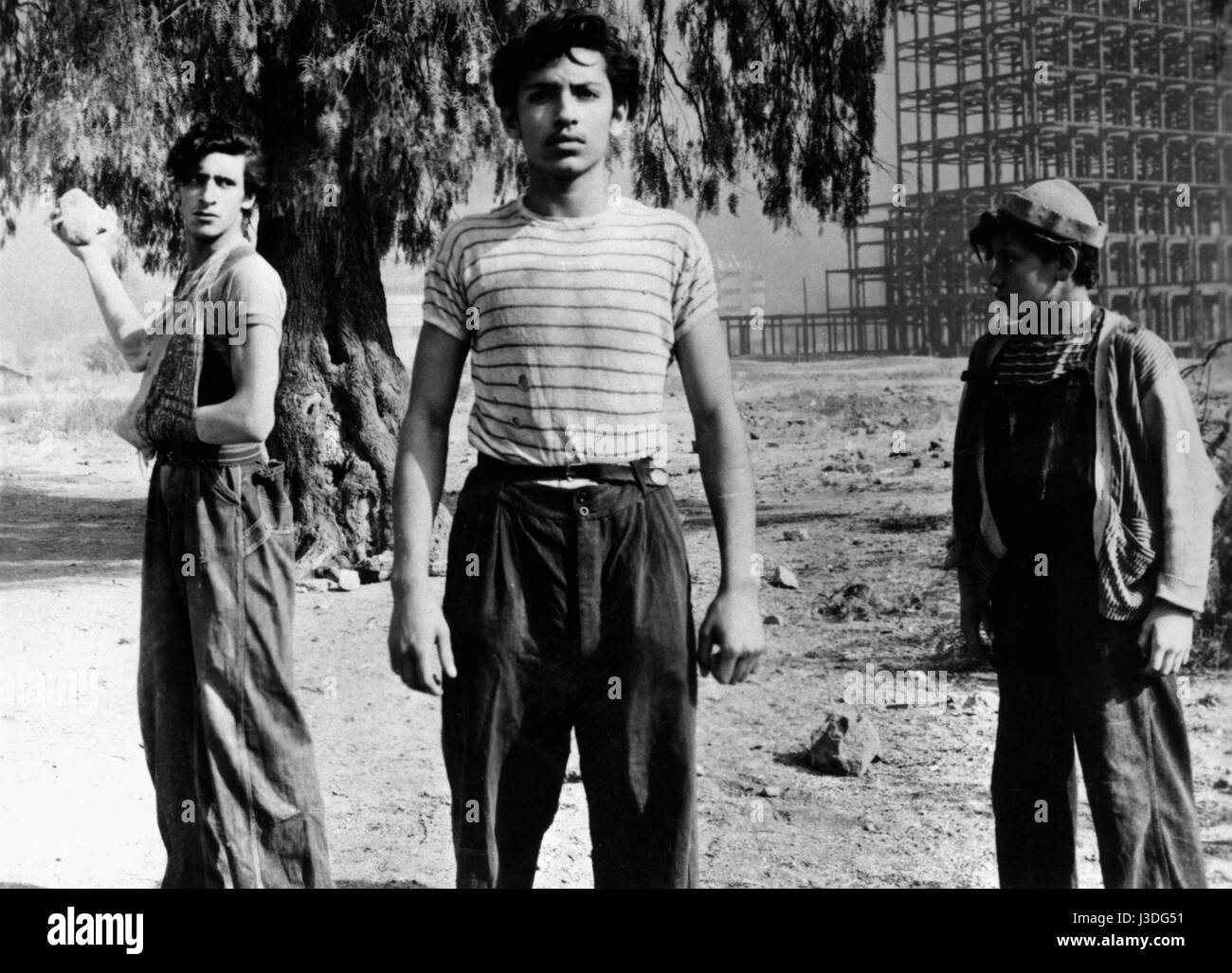 Los Olvidados Year: 1950 - Mexico Roberto Cobo , Javier Amézcua ...