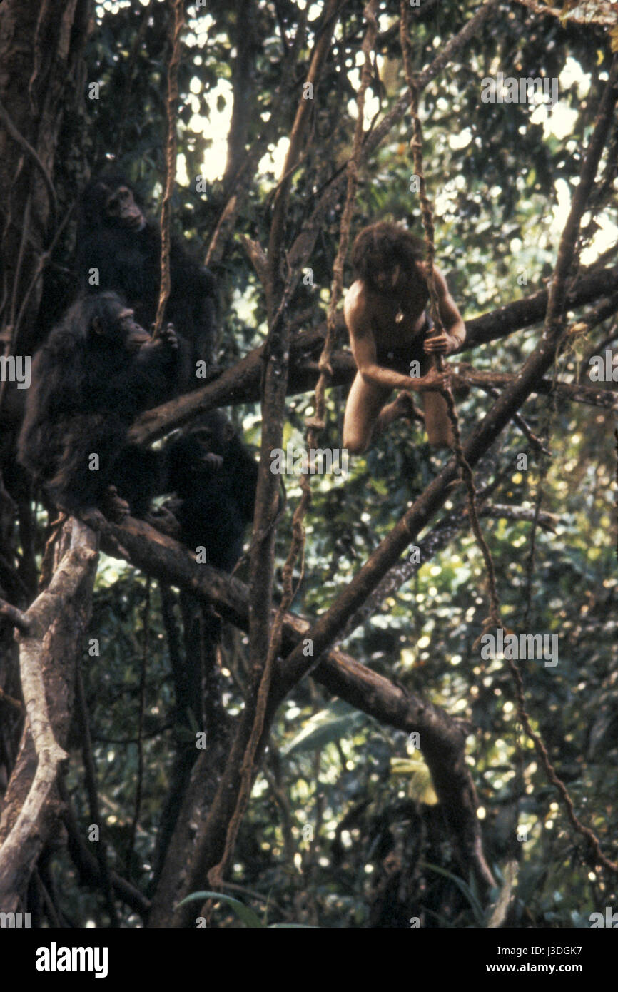 The Legend Of Tarzan Lord Of The Apes High Resolution Stock Photography ...