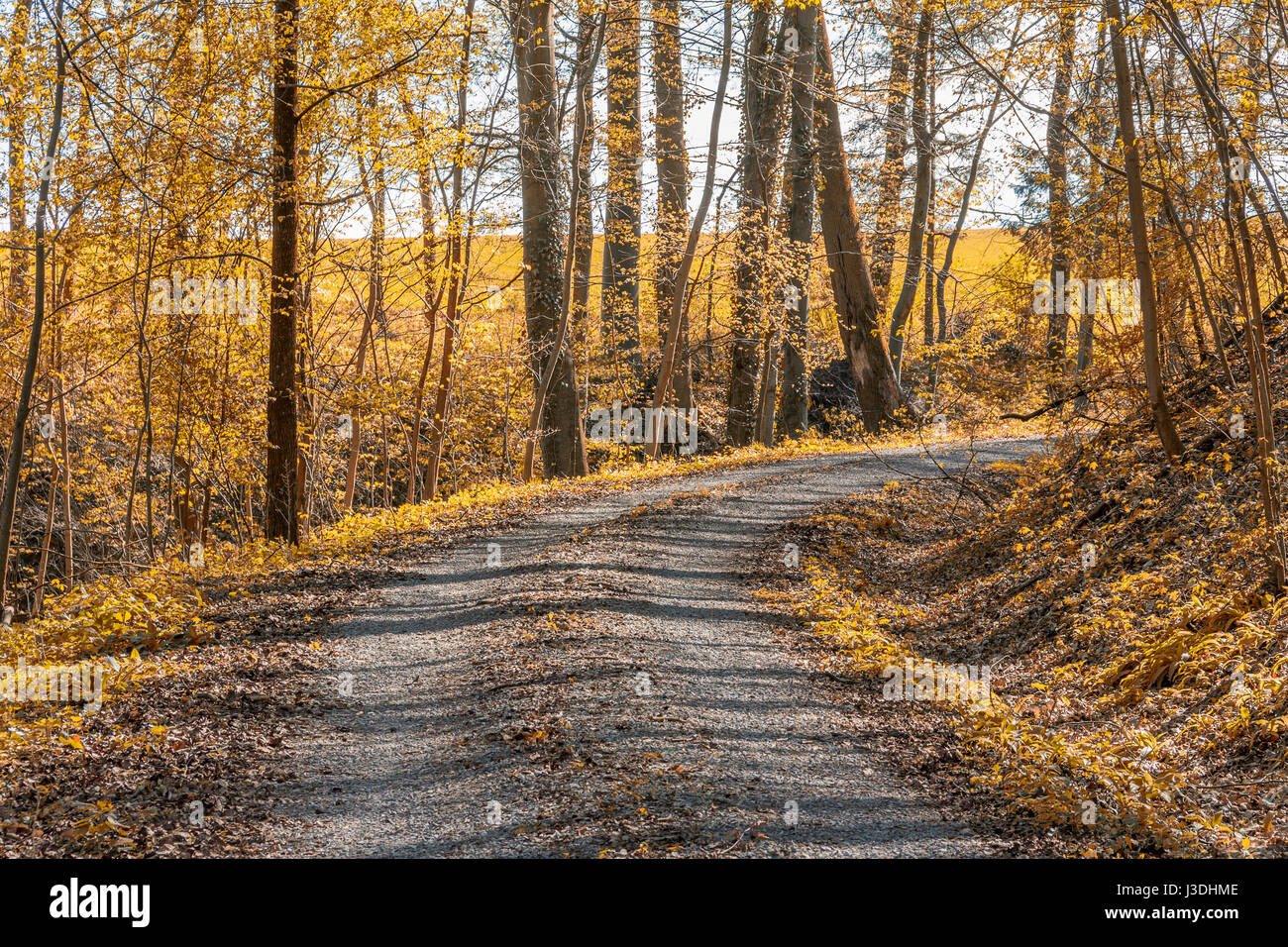Indian path hi-res stock photography and images - Alamy
