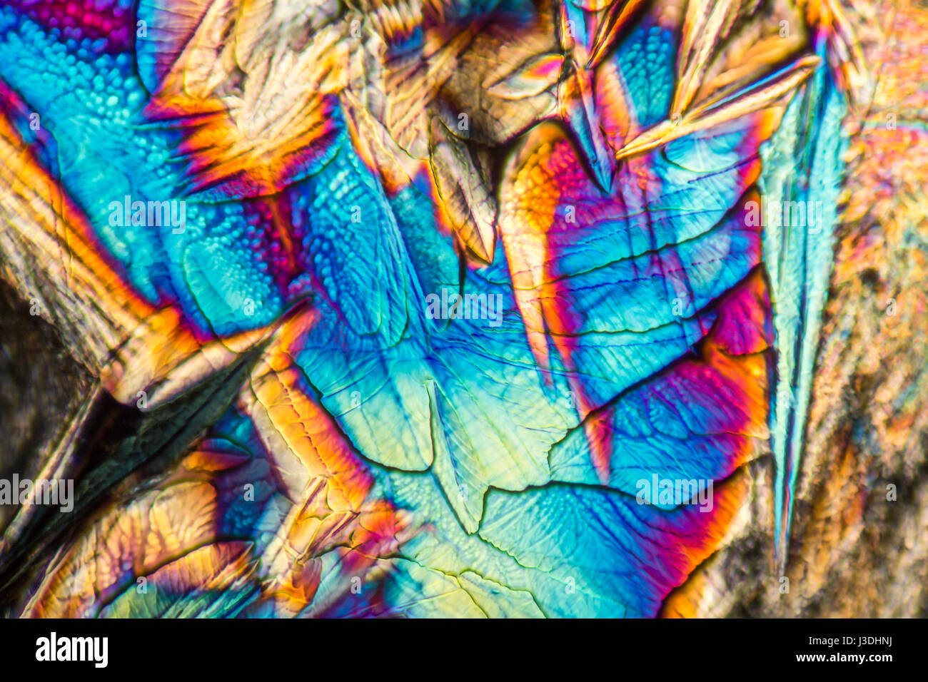microscopic Galactose crystals illuminated with polarized light Stock ...