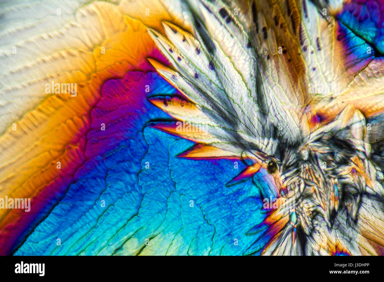 microscopic Galactose crystals illuminated with polarized light Stock ...