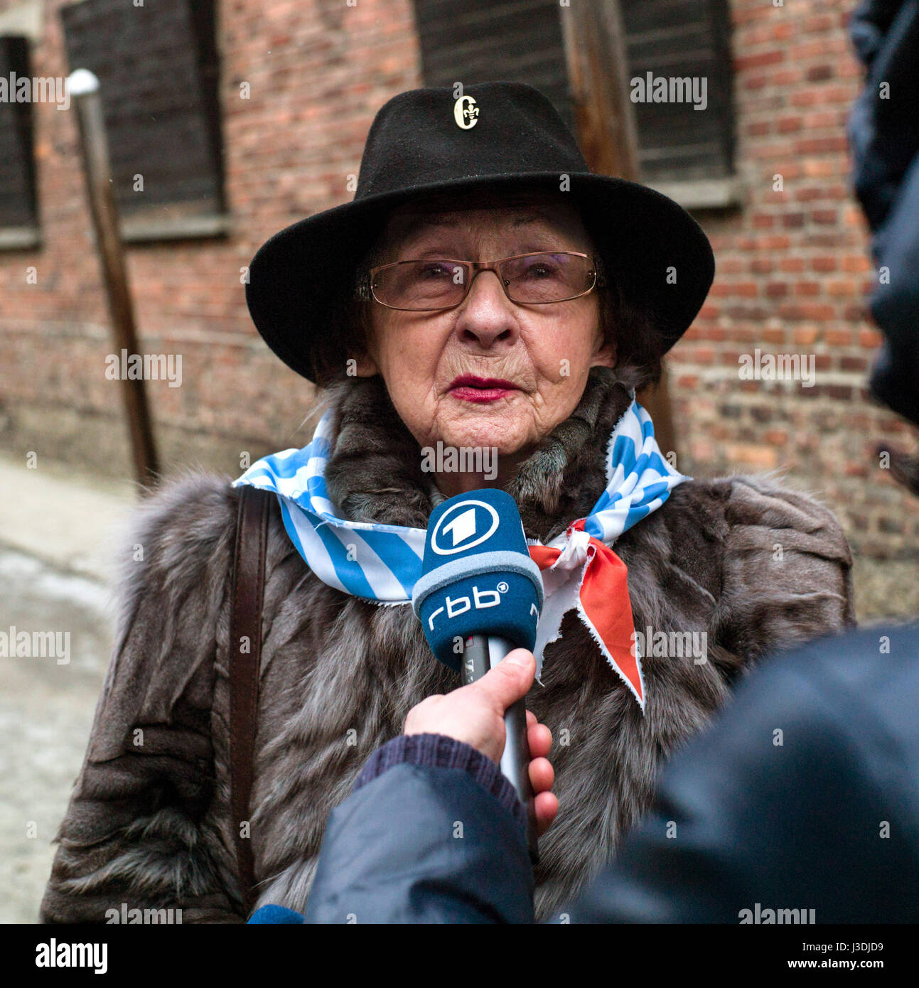 Survivor auschwitz hi-res stock photography and images - Alamy