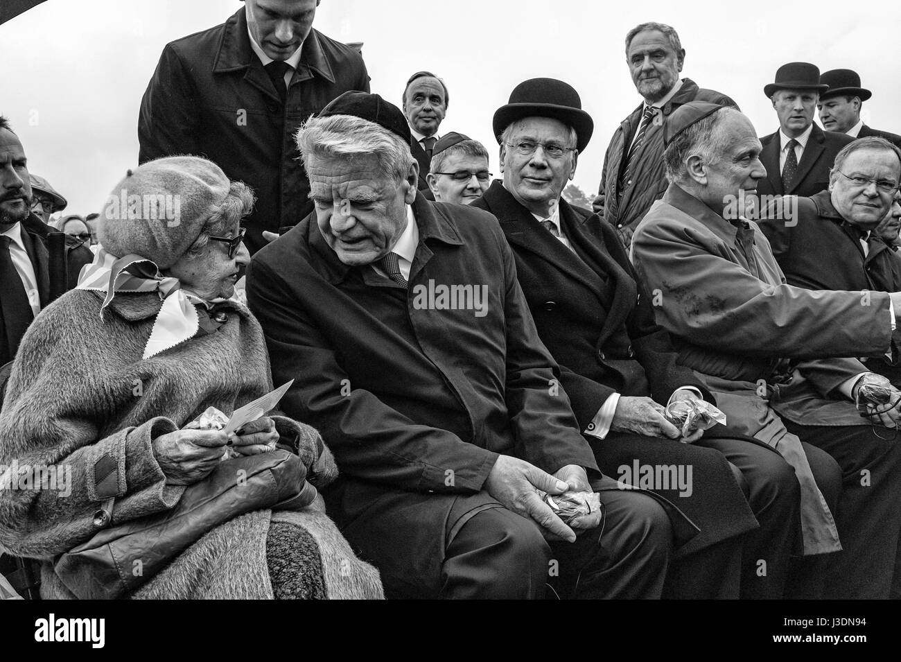 Polish duke hi-res stock photography and images - Alamy