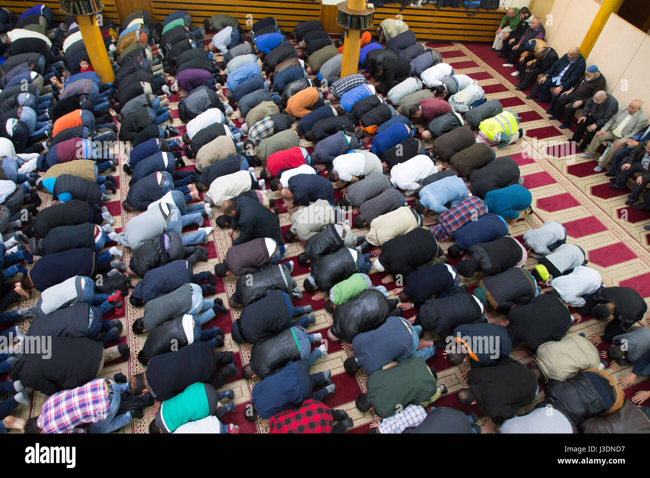 Muslims have gathered for prayer in the berlin mosque hi-res stock ...