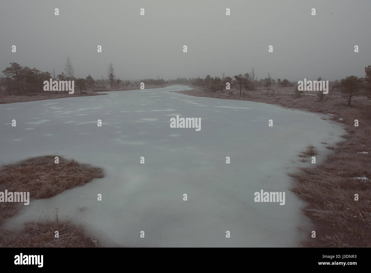 snowy landscape in frosty winter bog in country side - aged photo ...