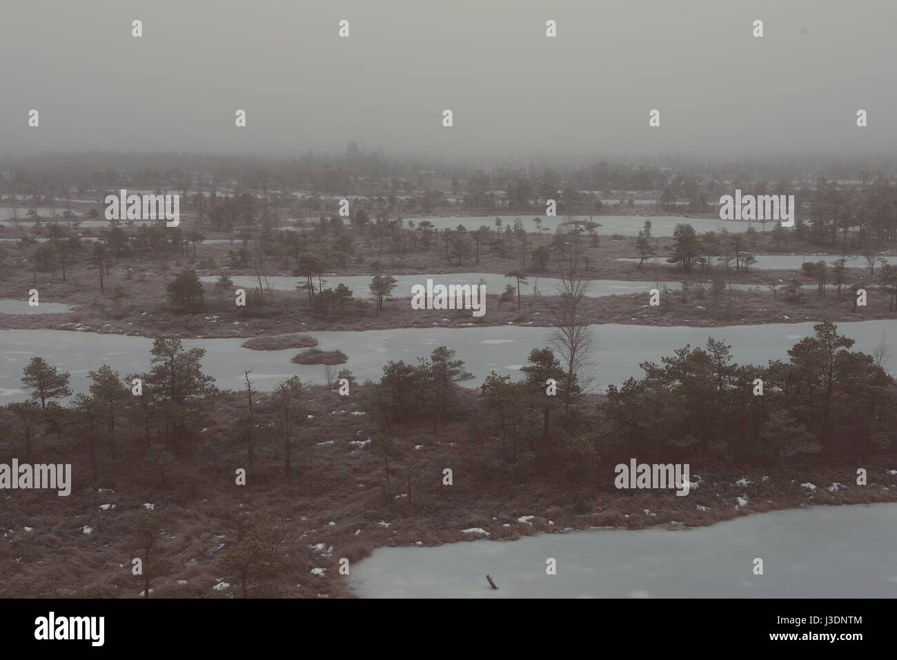 snowy landscape in frosty winter bog in country side - aged photo ...