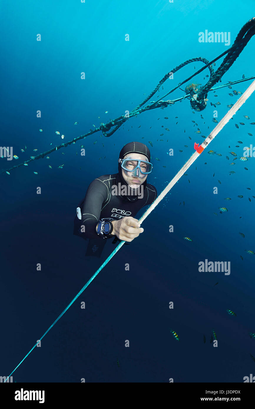 Freediver Anna von Boetticher when freediving, Sharm El-Sheikh, Egypt ...