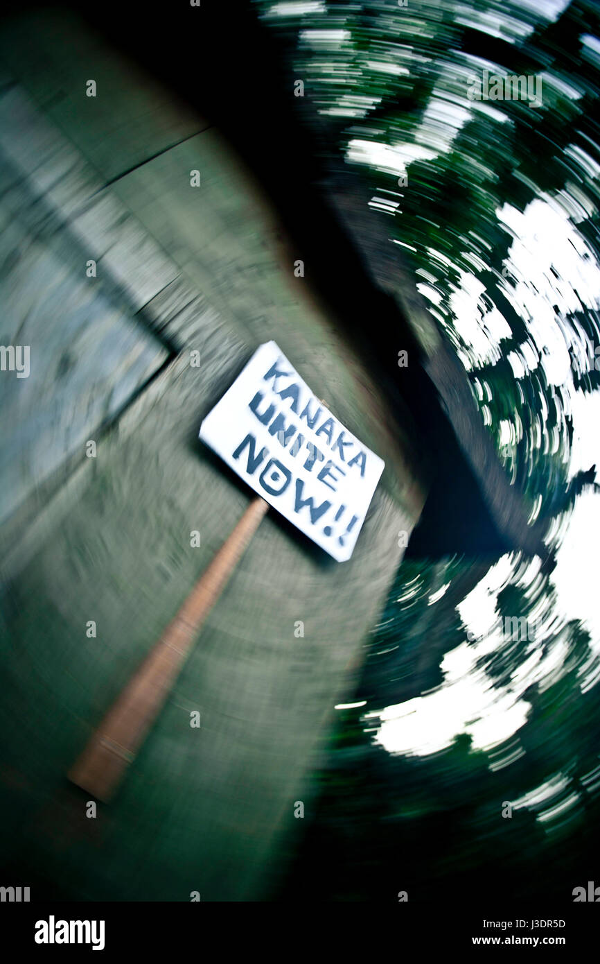 In the garden of Nelson Armitage, Foreign Minister of the independence ...