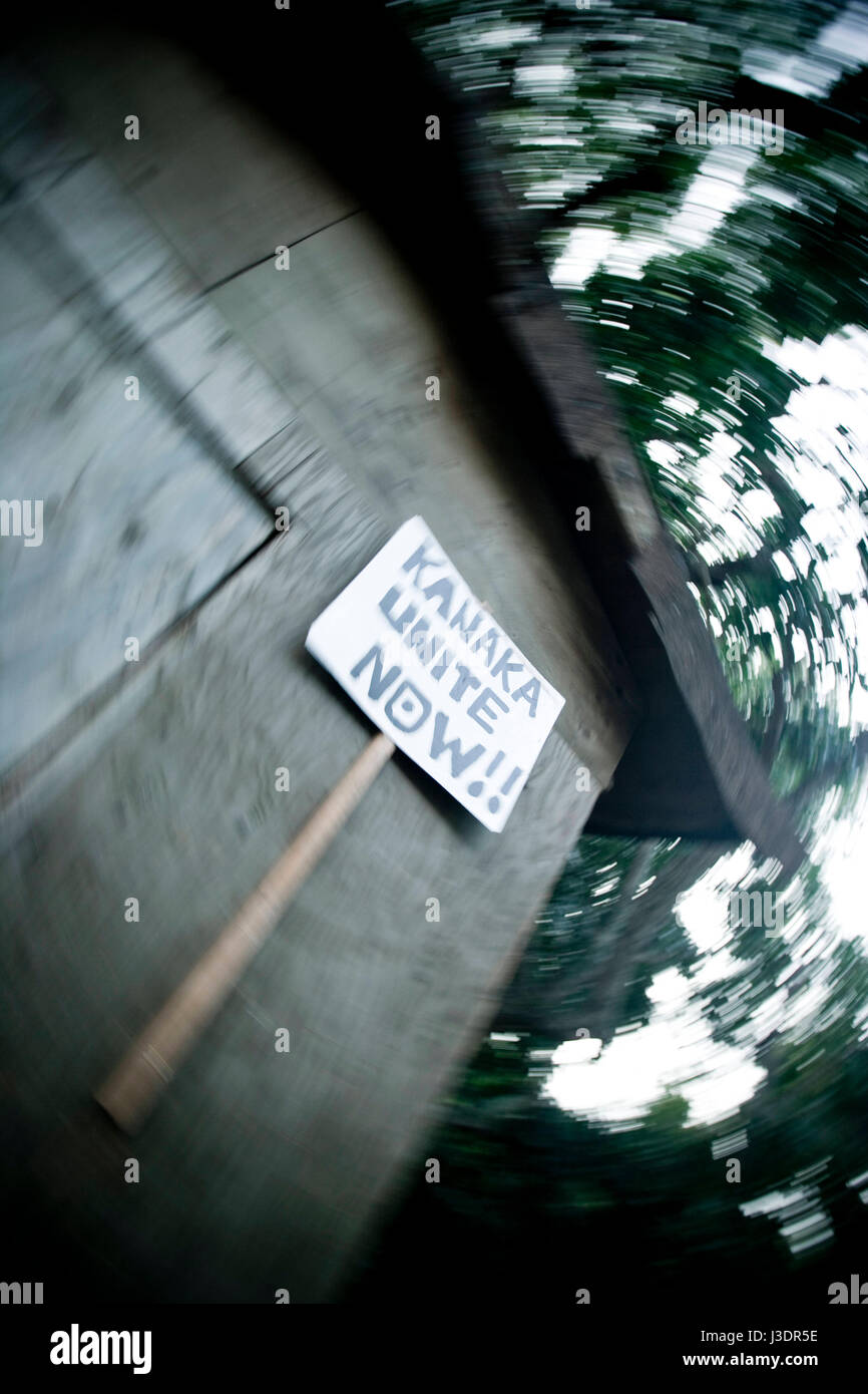 In the garden of Nelson Armitage, Foreign Minister of the independence ...