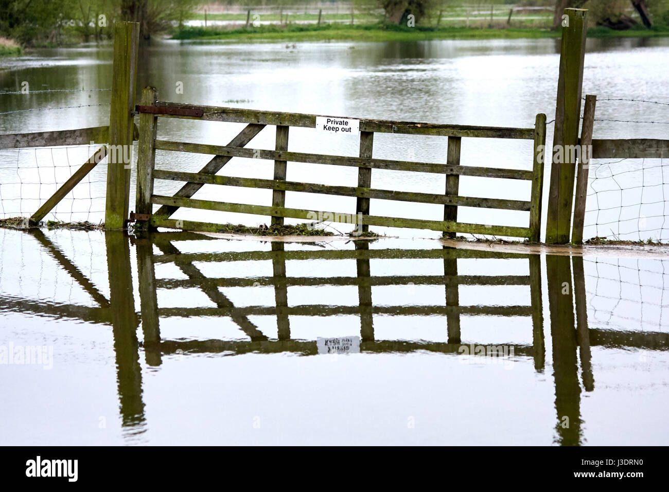 A gate in a flooded field Stock Photo - Alamy