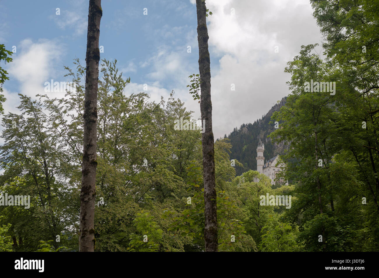GERMANY. Bavaria. 2016. Neuschwanstein Castle Stock Photo - Alamy